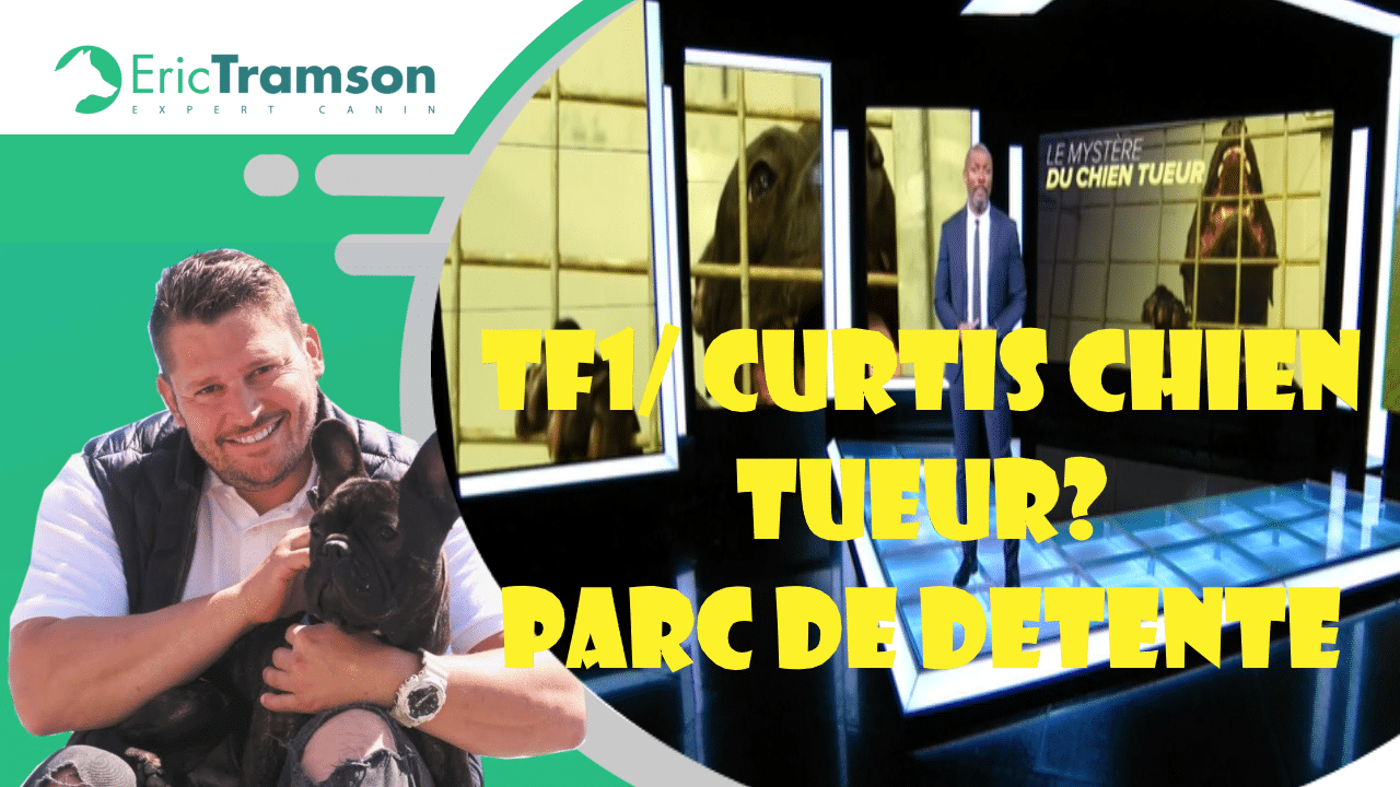 CHANGER LE LIEU DE DEPOT POUR CURTIS LE CHIEN ELISA