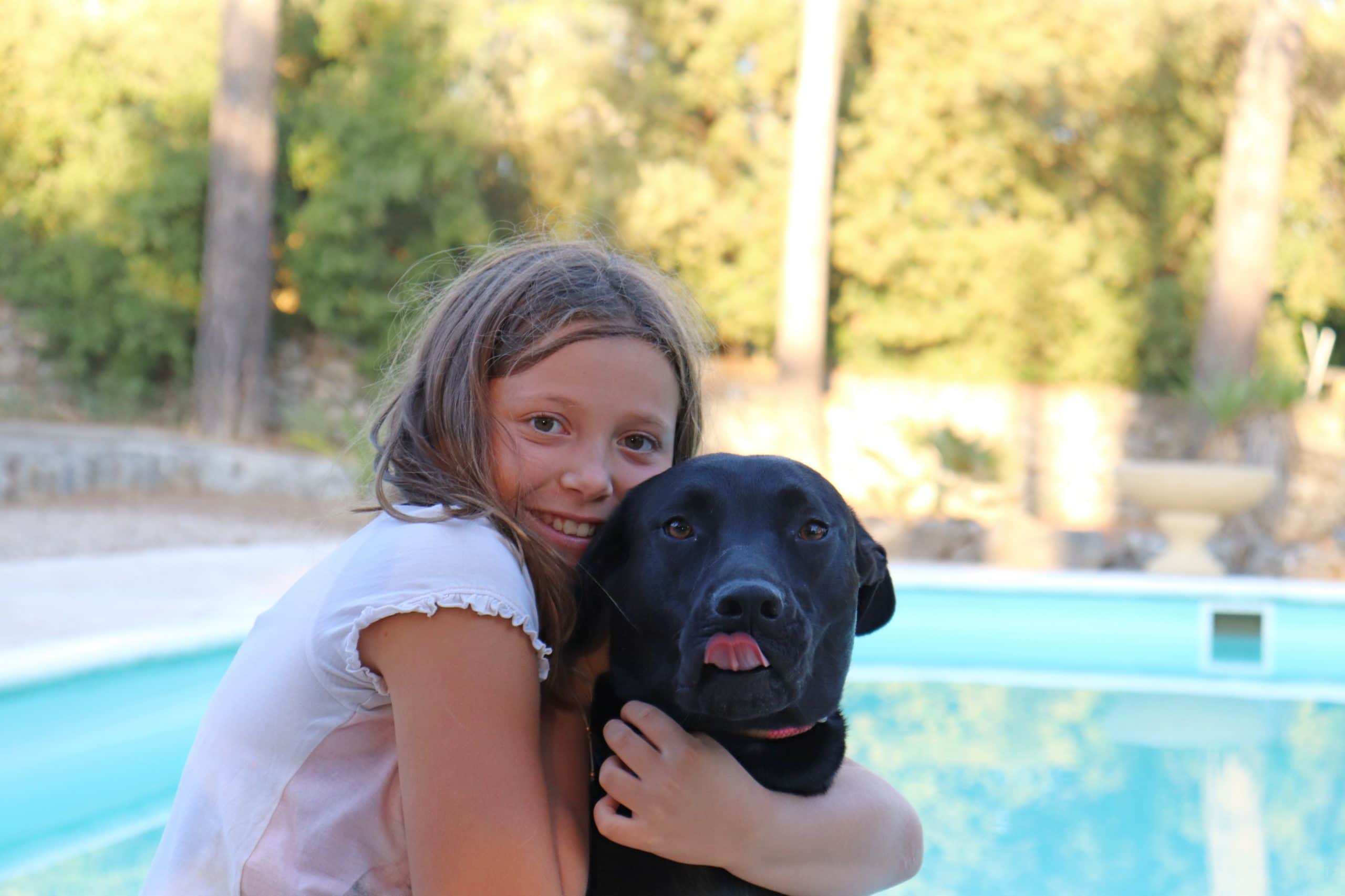 EDUCATEUR CANIN COMPORTEMENTALISTE FORMATION